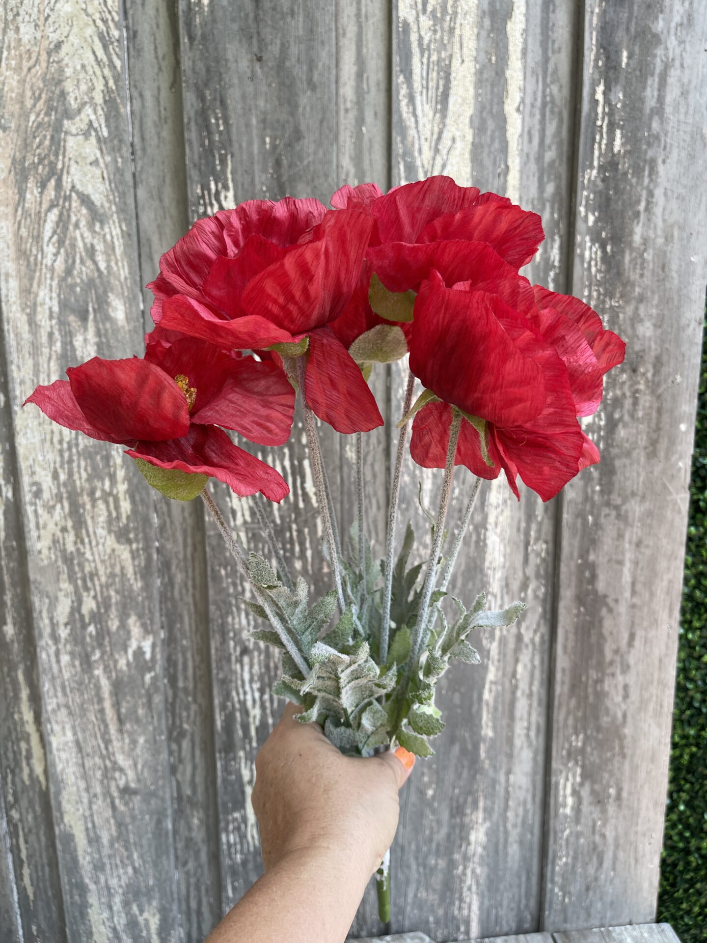 Red Poppy Bush - Kelea's Florals