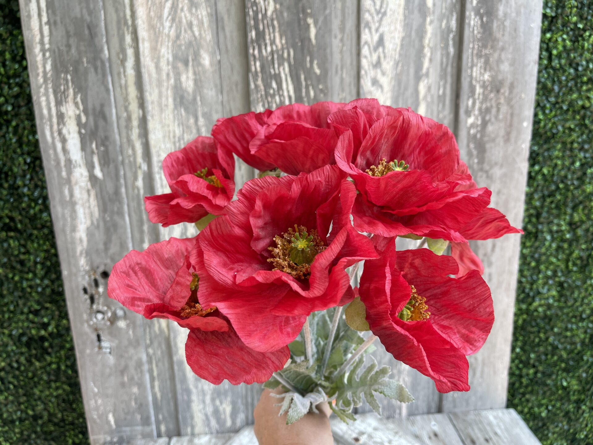 Red Poppy Bush - Kelea's Florals