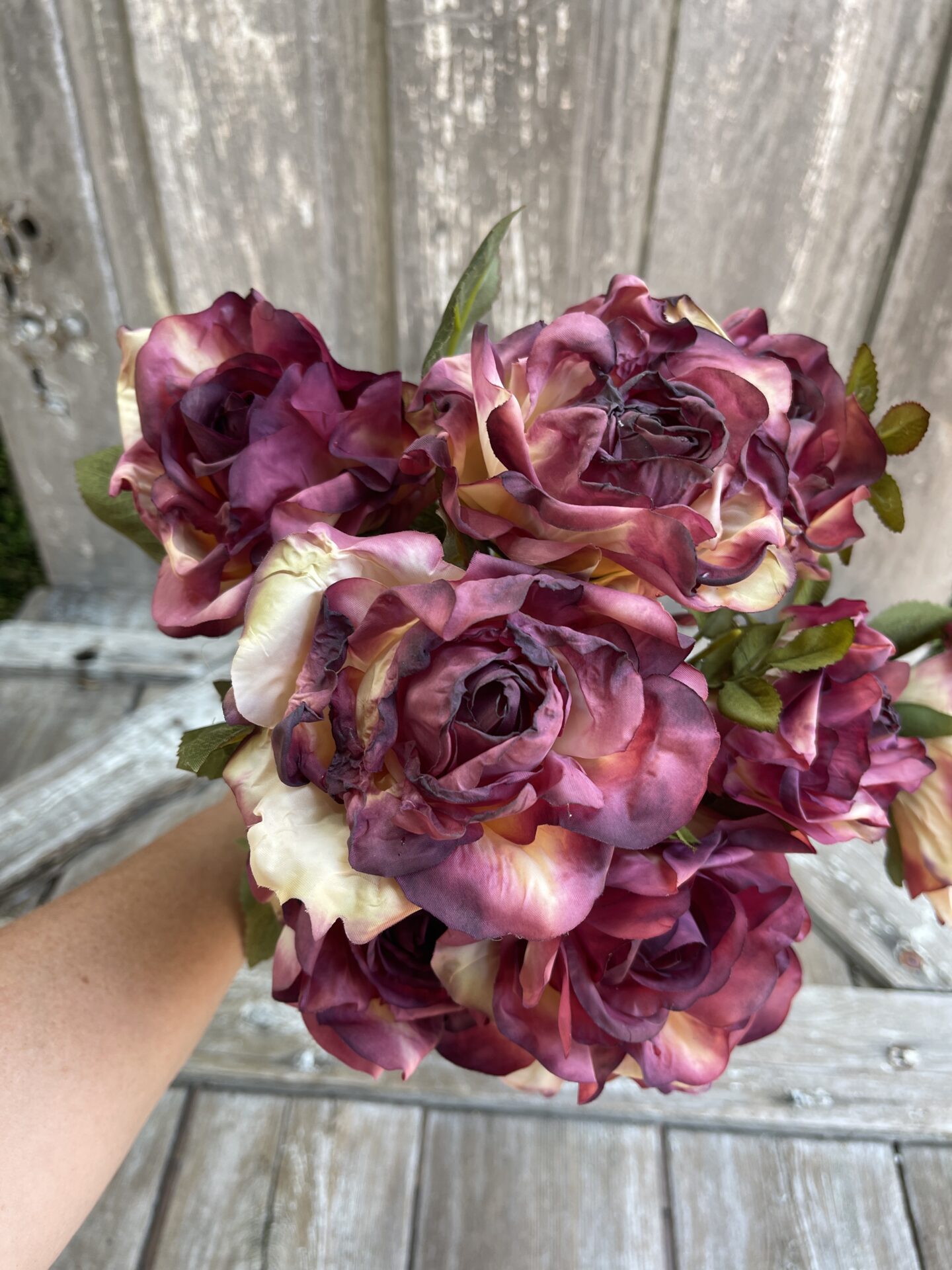 Purple Dried Rose Bush - Kelea's Florals